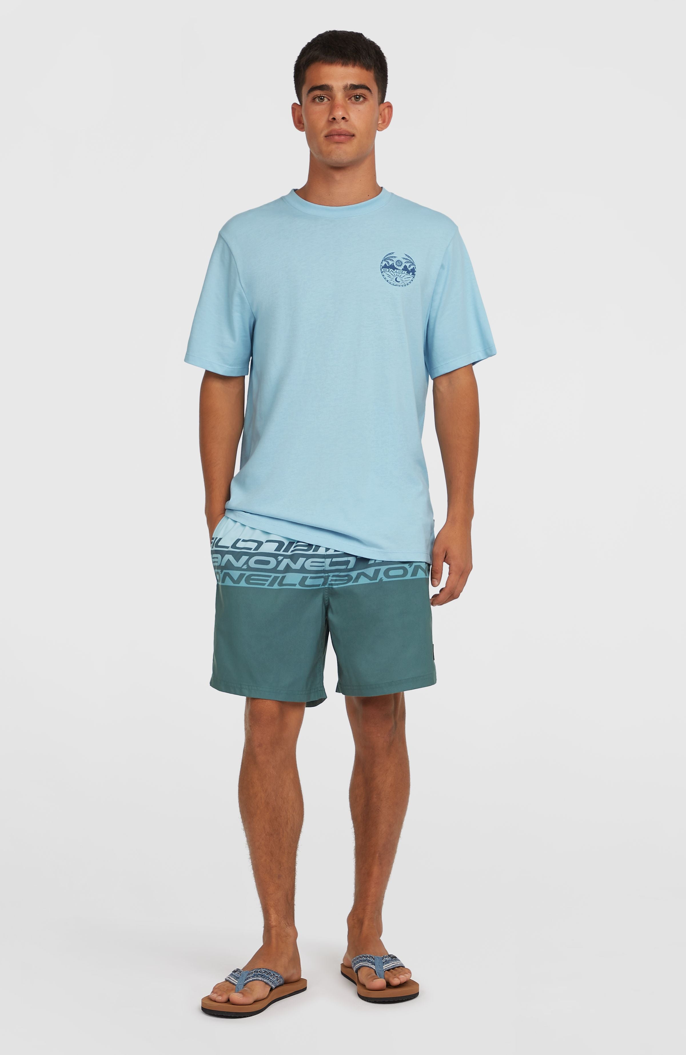Cali Stripe 16'' Swim Shorts | Blue Upside Down – O'Neill