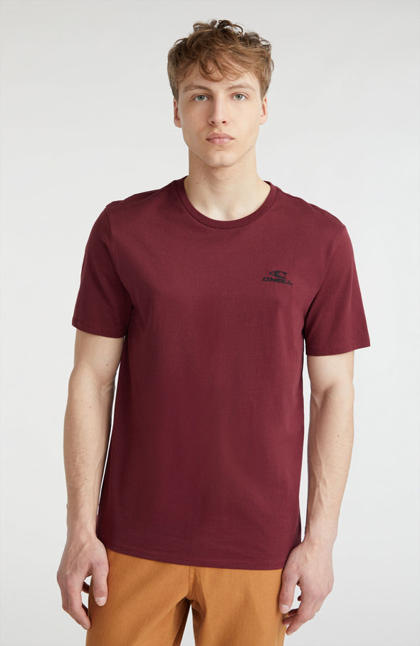 Mens t-shirts – O'Neill