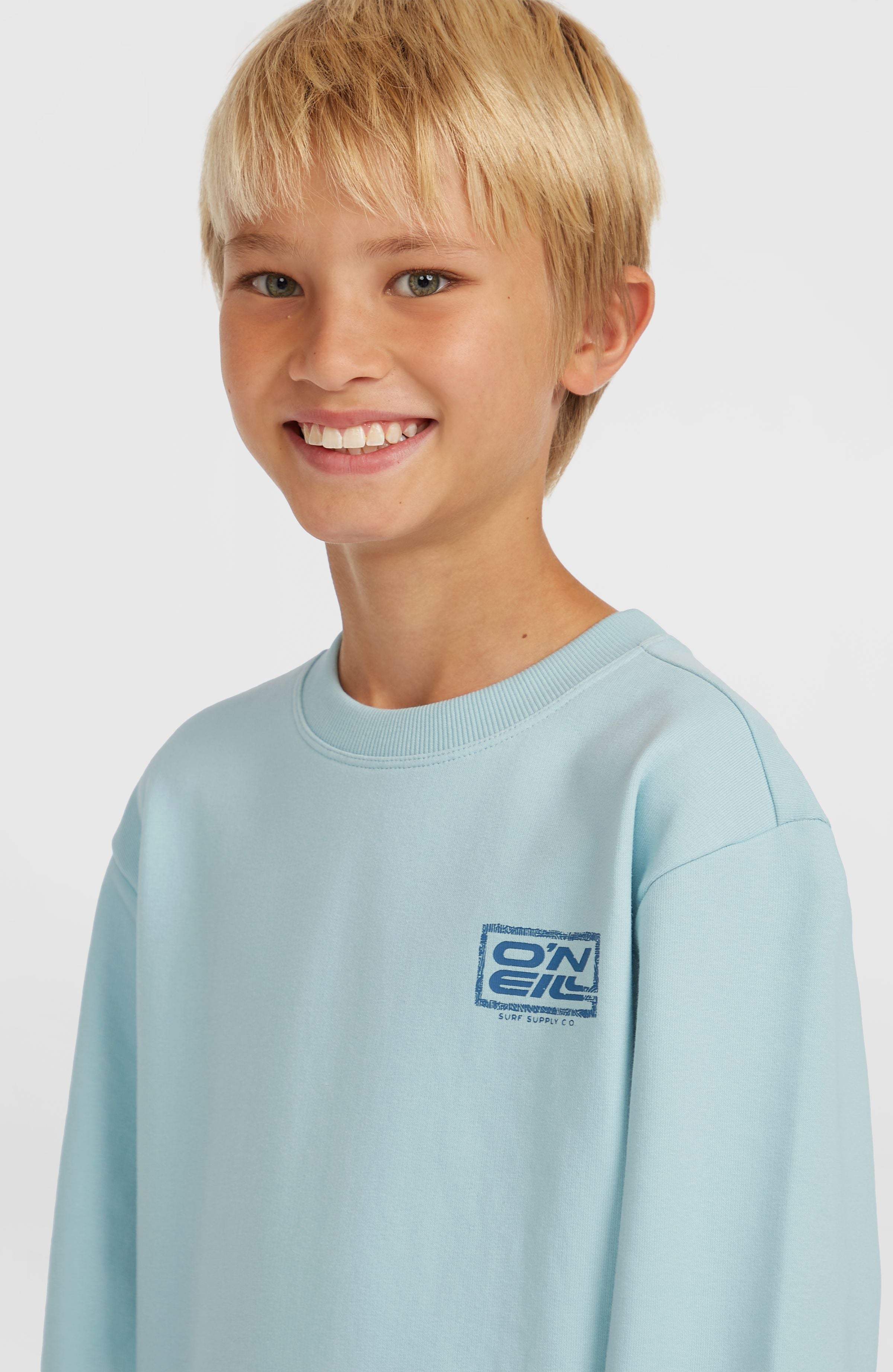 Logo Crew Sweatshirt | Morning Glory – O'Neill