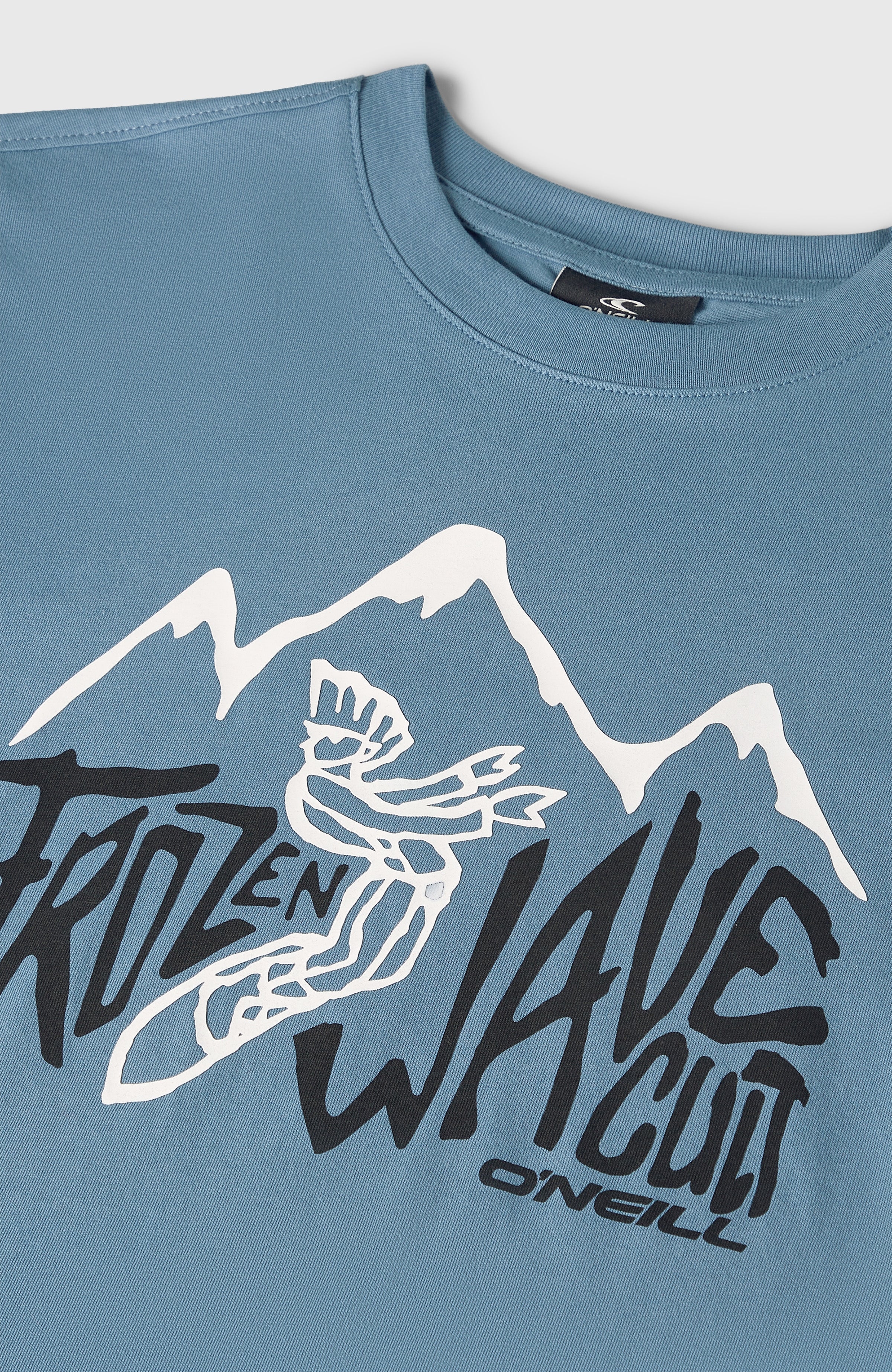 Must-Have T-Shirt | Mozart Blue – O'Neill